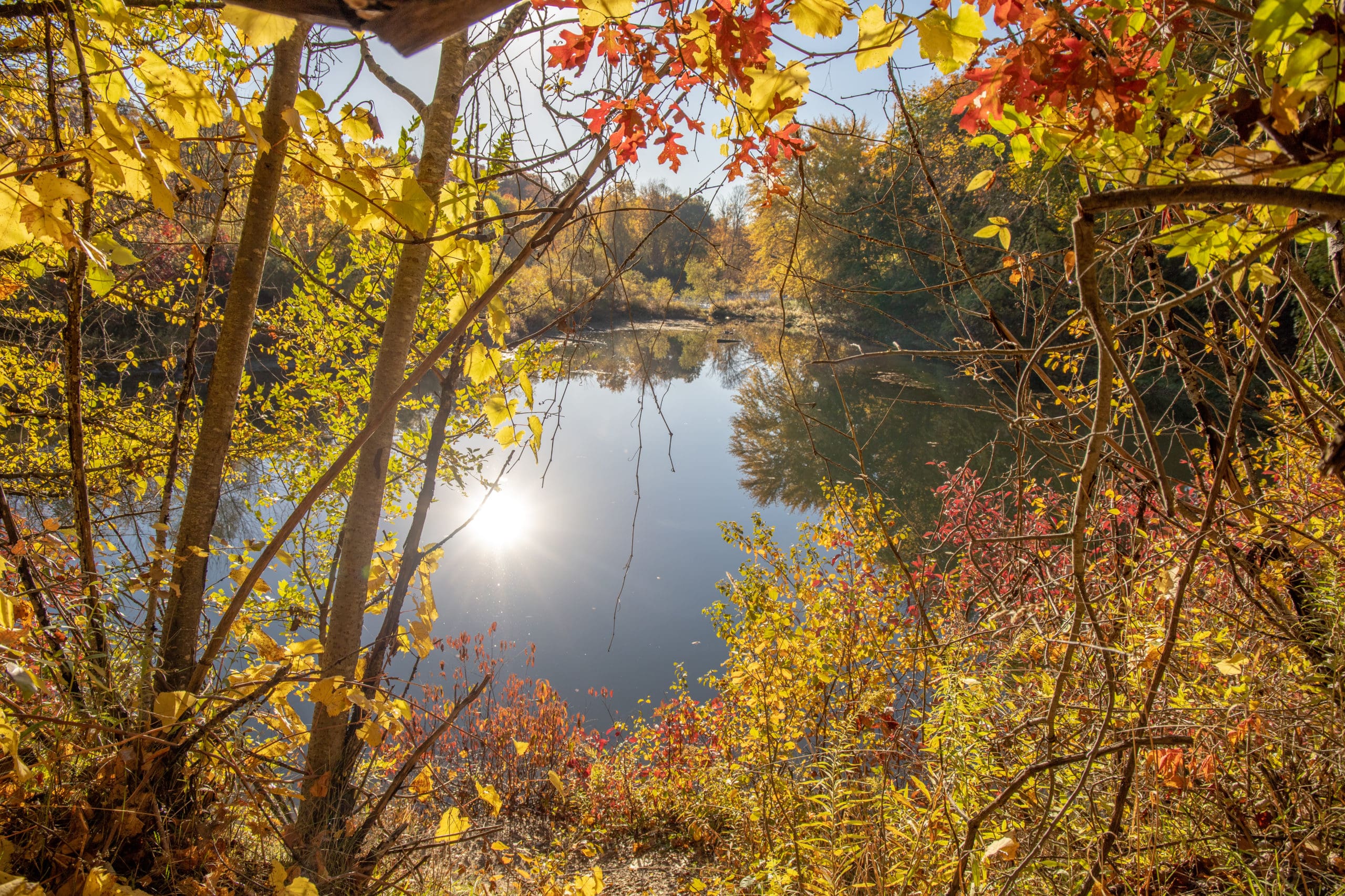 Fall in Mecosta County Michigan